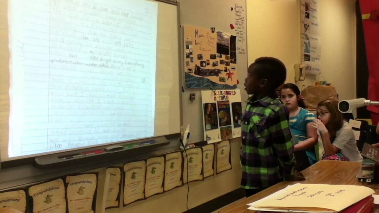 Marine Life Research Projects Muller Elementary Mrs Best s Class 6 1 2012 YouTube marine-life-research-projects-muller-elementary-mrs-best-s-class-6-1-2012-youtube