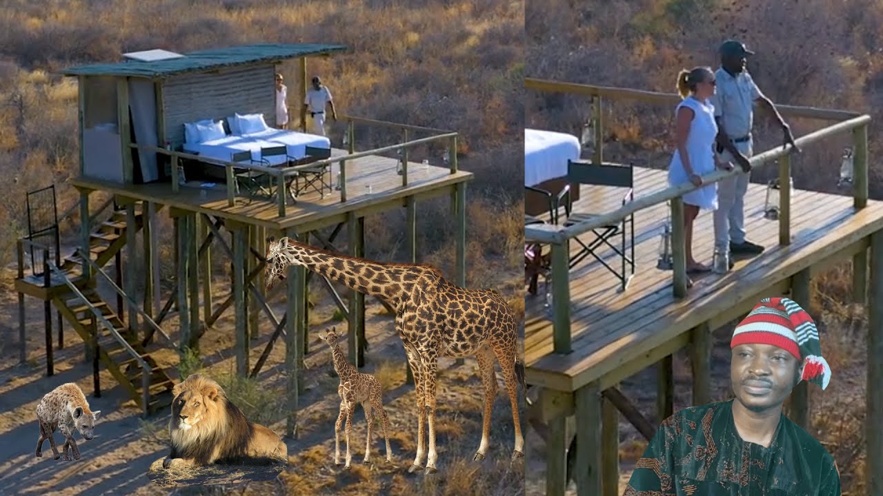 African Guest House Surrounded By Wild Animals For Vacation Stay - YouTube