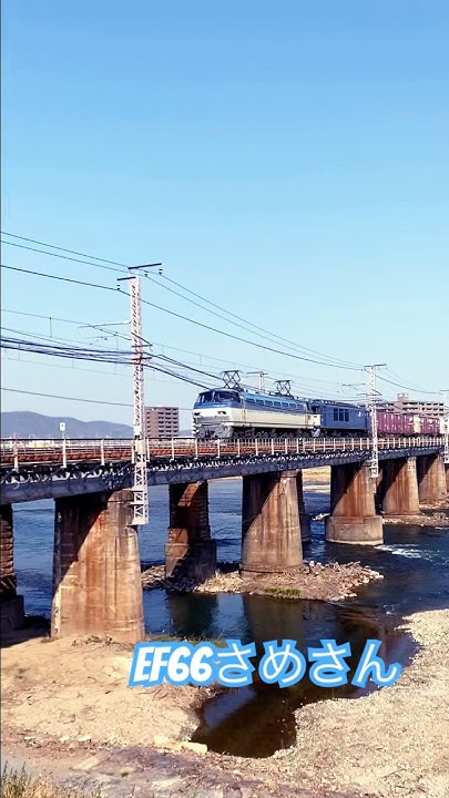 ef66 サメさん 2025.3.23 #貨物列車 - YouTube