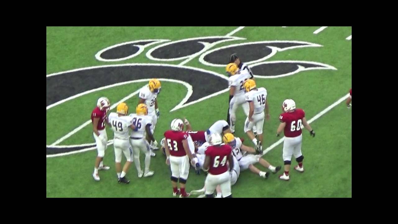 Jarell White - 2017 Cincinnati La Salle RB/ATH - Highlights vs. Carmel ...