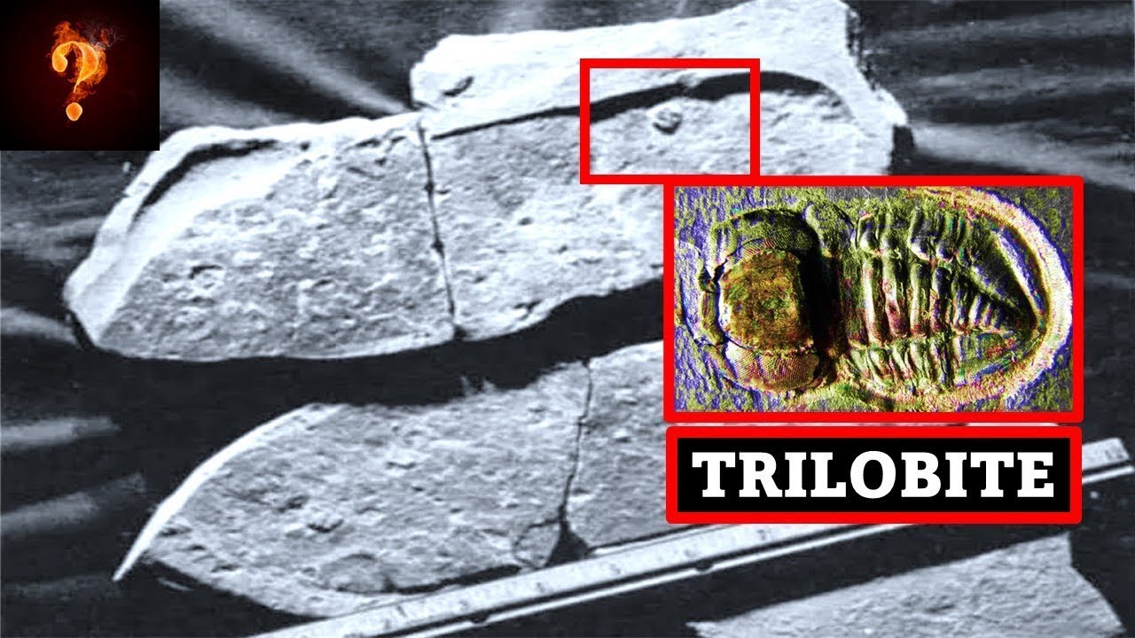 Fossilized Shoeprint Rejected By Academia? - YouTube