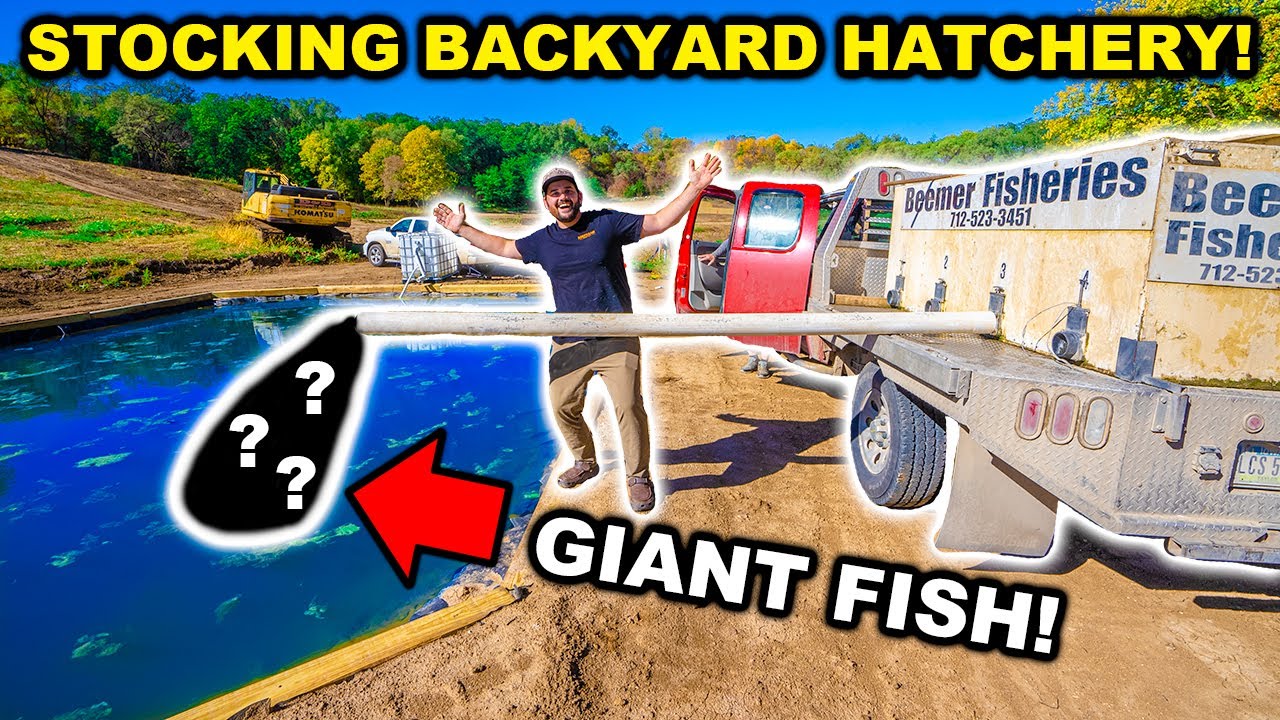 Stocking GIANT FISH in My BACKYARD Fish Hatchery!!! (Catch Clean Cook ...