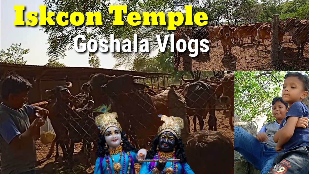 Iskcon Temple Goshala , Medchal | Jai Goumata 🙏 - YouTube