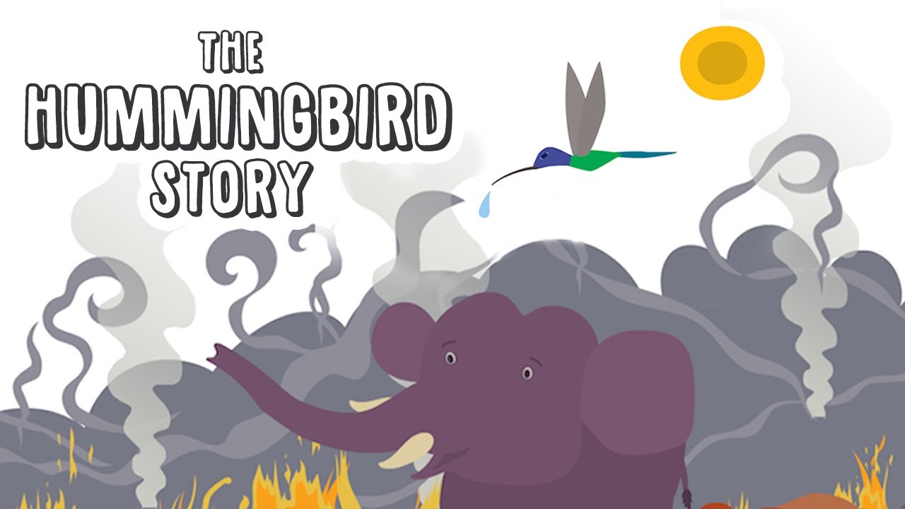Once there was a great forest fire...! | The Hummingbird Story ...