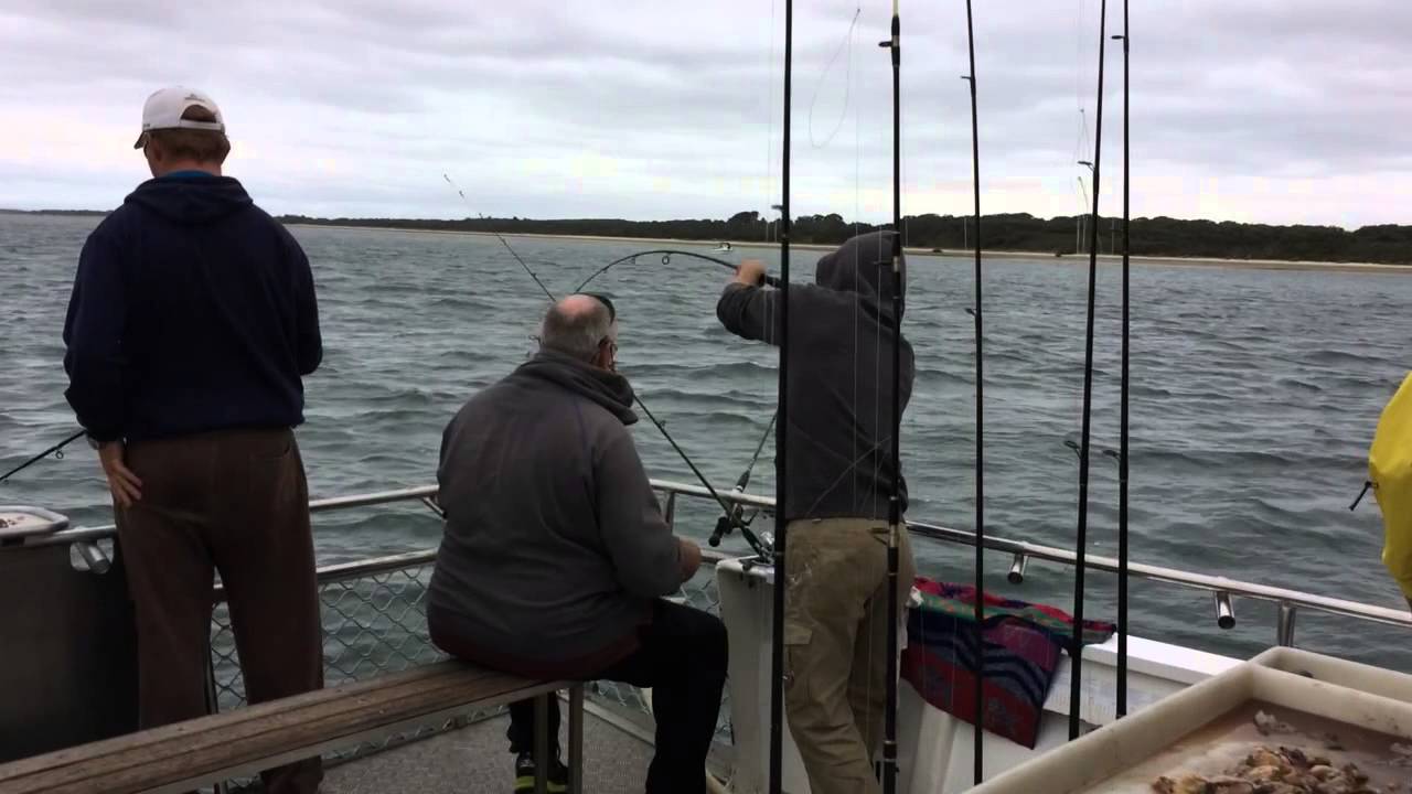 WESTERNPORT FISHING CHARTERS - YouTube