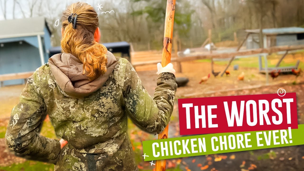 The WORST Chicken Chore Ever - YouTube