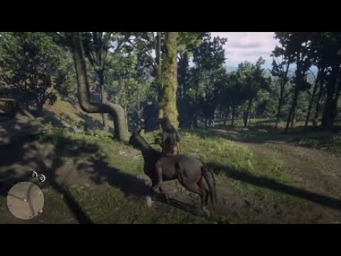 Rdr2 trail trees mystery or environment detail ??? - YouTube