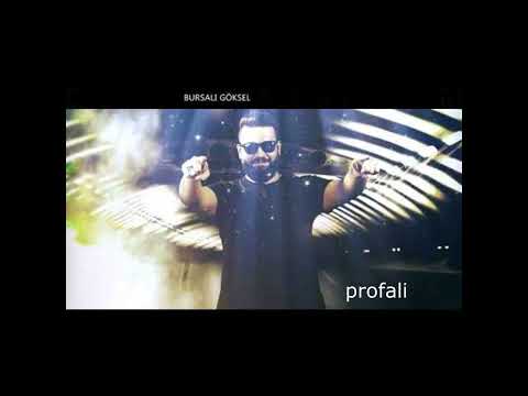 BURSALI GÖKSEL-ARMUT AĞACI-DÖRT BEYGİR