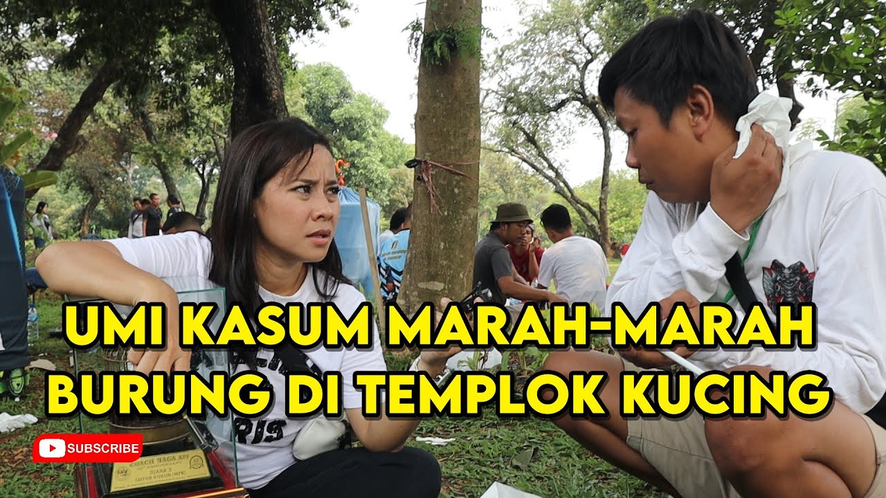 BURUNG DI TOMPLOK KUCING, BIKIN UMI KASUM MARAH - YouTube