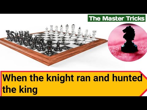 chess king hunt । chess king hunt lasker । chess king hunt game । bird ...