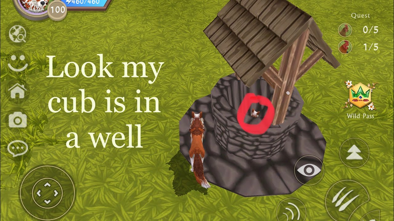 Wildcraft cub fell in the well. So funny - YouTube