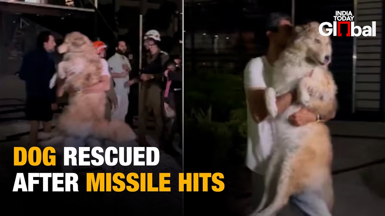 WATCH: Heartwarming moment as a dog is rescued from rubble after ...