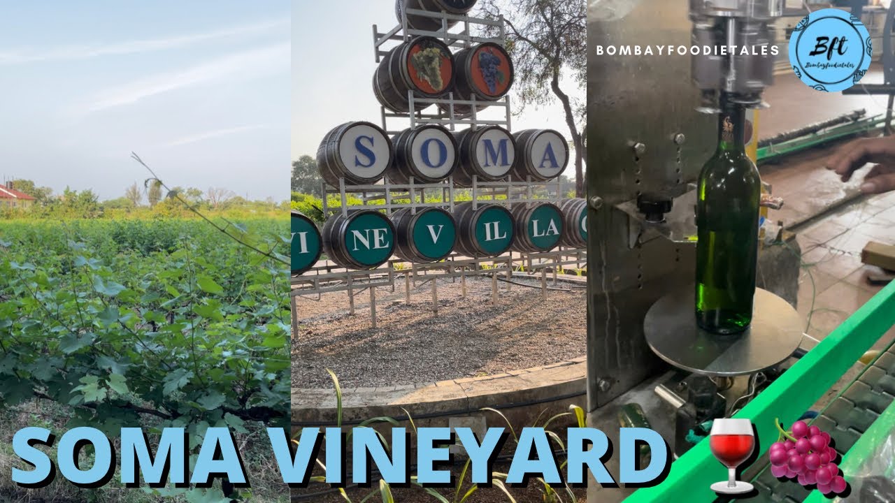 Nashik's Most Famous Wine | Soma Vineyard | Wine Packing \Wine Bottling Plant\Bottle Filling ...