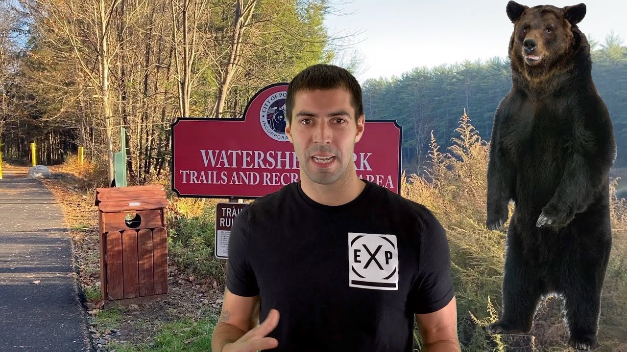 Phys. Ed. Interactive workout at home hike. Great for distance learning ...