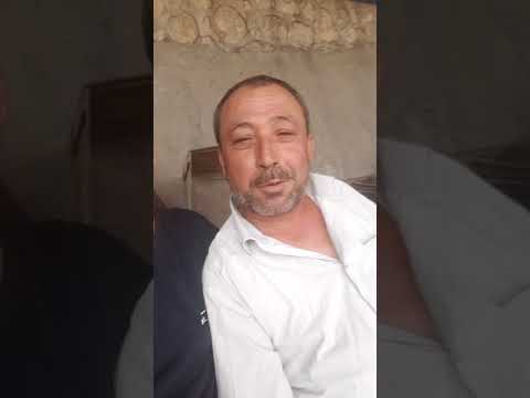 Ada sahilleri   tikli  Yilmaz