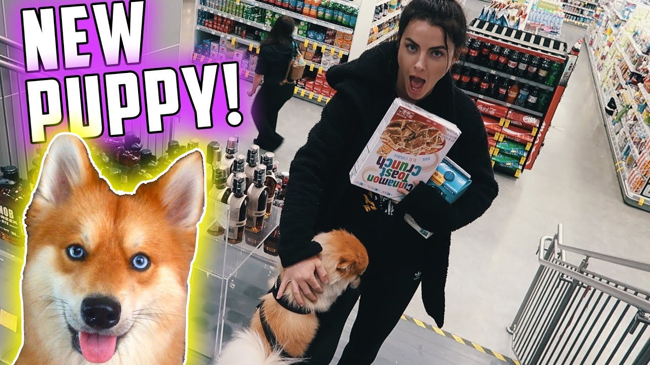 GOT HER A NEW PUPPY! *Savage* - YouTube