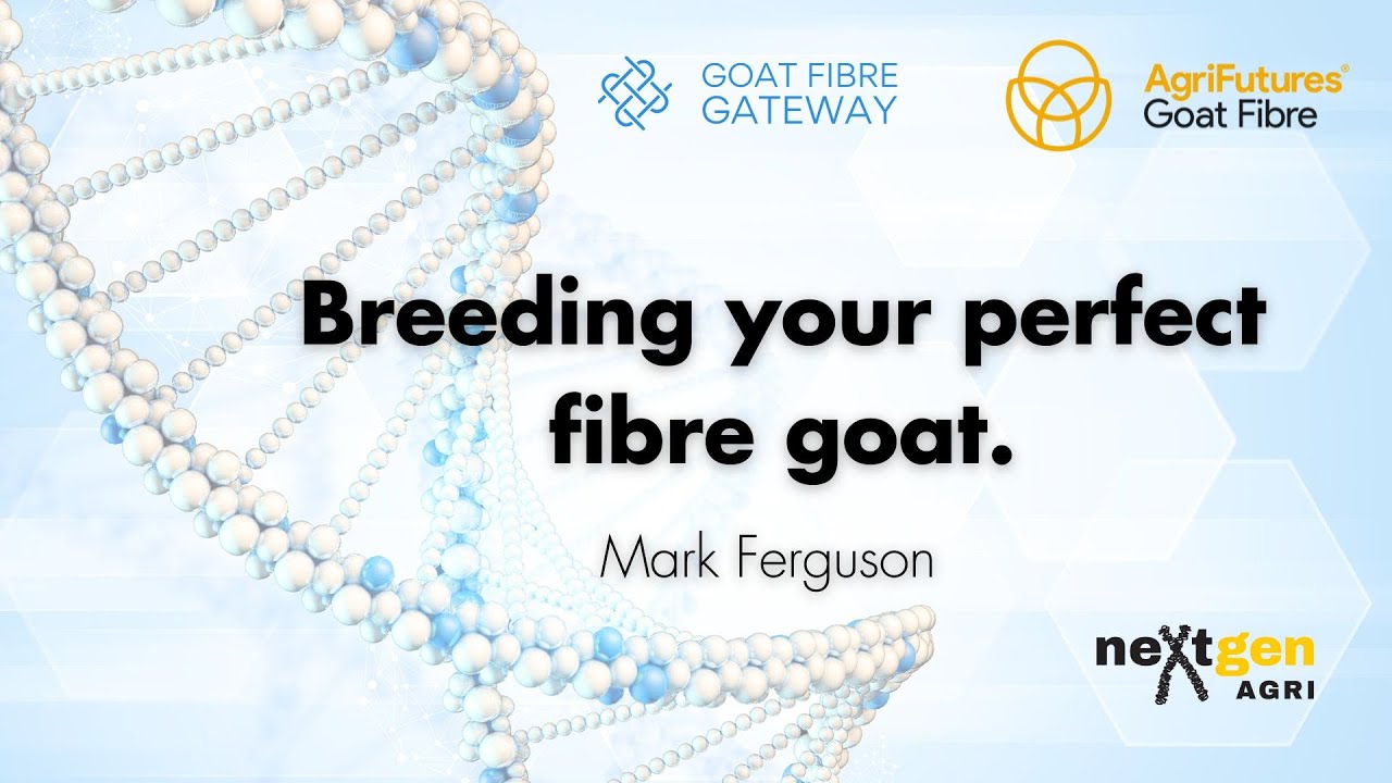 The genetics of fibre goats - Dr Mark Ferguson - YouTube