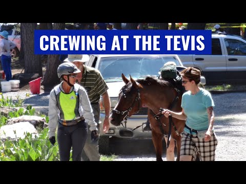 CREWING AT THE TEVIS CUP-THE BIGGEST HORSE ENDURANCE RIDE - YouTube