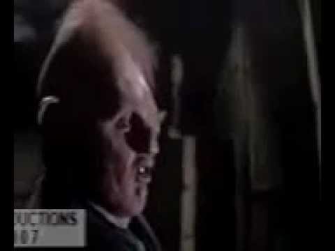 Sloth eats baby ruth - YouTube