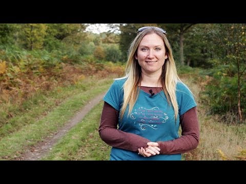 Reasons to join the RFS - YouTube