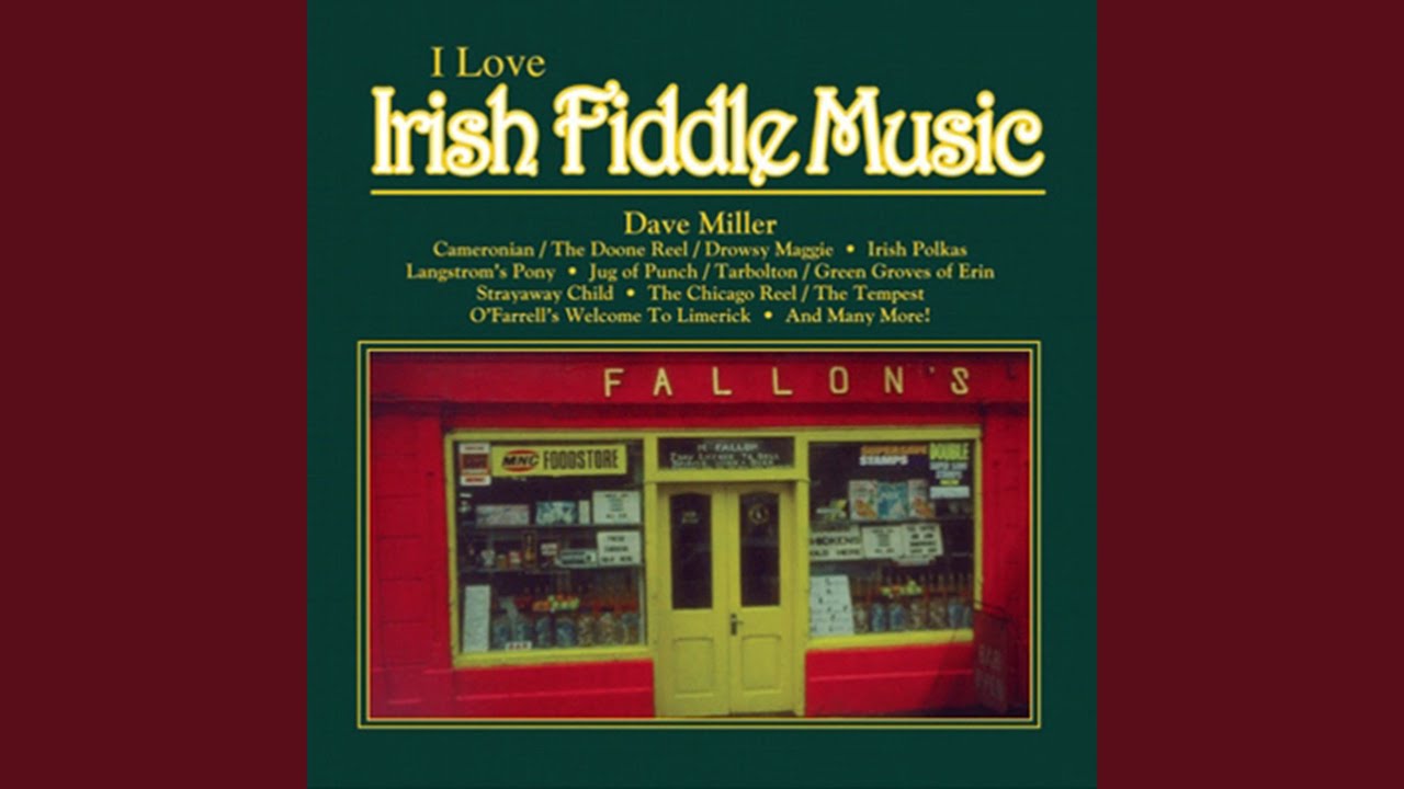 Irish Polkas - YouTube