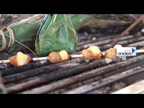 Chontacuro maito: exotic dish of Ecuador, in Napo province - YouTube