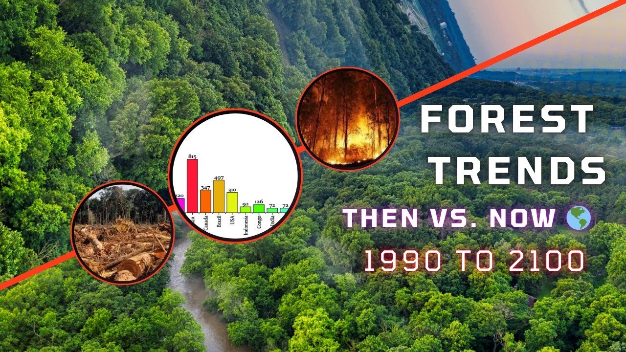How Forests Evolved: Country-Wise Data from 1990 to 2100 🌎📊 - YouTube