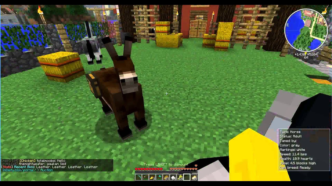 Minecraft Horse Stat display mod - YouTube