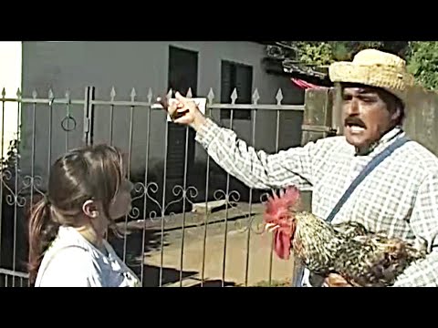 IMBILINO E A PREVENÇÃO (TRECHO DO FILME IMBILINO 4: O GALO E A MEGA DA VIRADA)