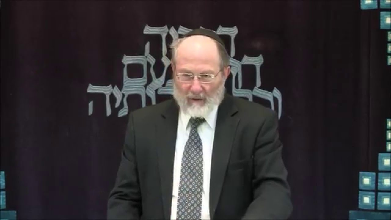 Rabbi Shaya Karlinsky at David Shapell Yarzheit 5776 - YouTube