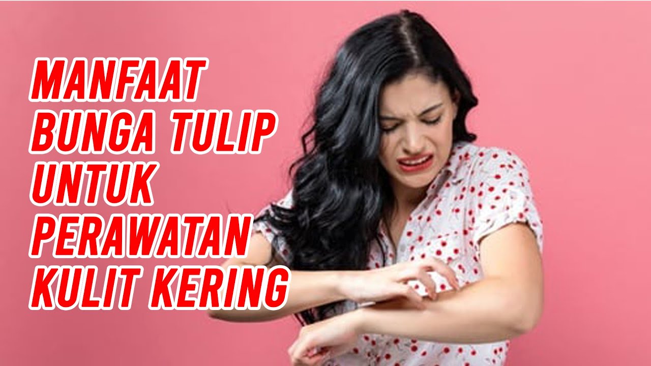 Manfaat Bunga Tulip untuk Perawatan Kulit Kering! - Ayo Hidup Sehat ...