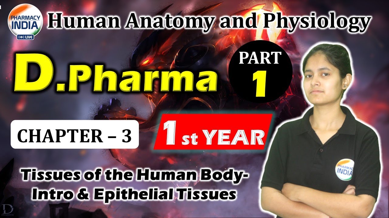 TISSUES OF HUMAN BODY | INTRODUCTION | EPITHELIAL TISSUES | CHAPTER - 3 ...