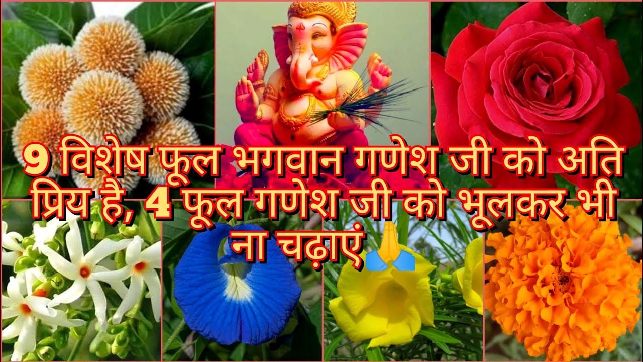 श्री गणेश जी का प्रिय फूल , गणेश जी को कौन सा फूल ना चढ़ाएं || Lord ...