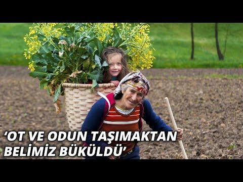 Karadenizli kadınların ‘bel fıtığı’ kabusu! ‘Ot ve odun taşımaktan belimiz büküldü’
