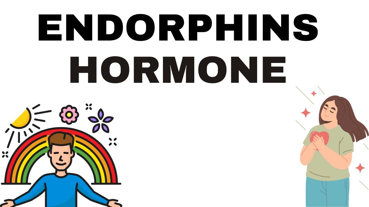 Endorphins: Your Body’s Feel-Good Hormones! - YouTube