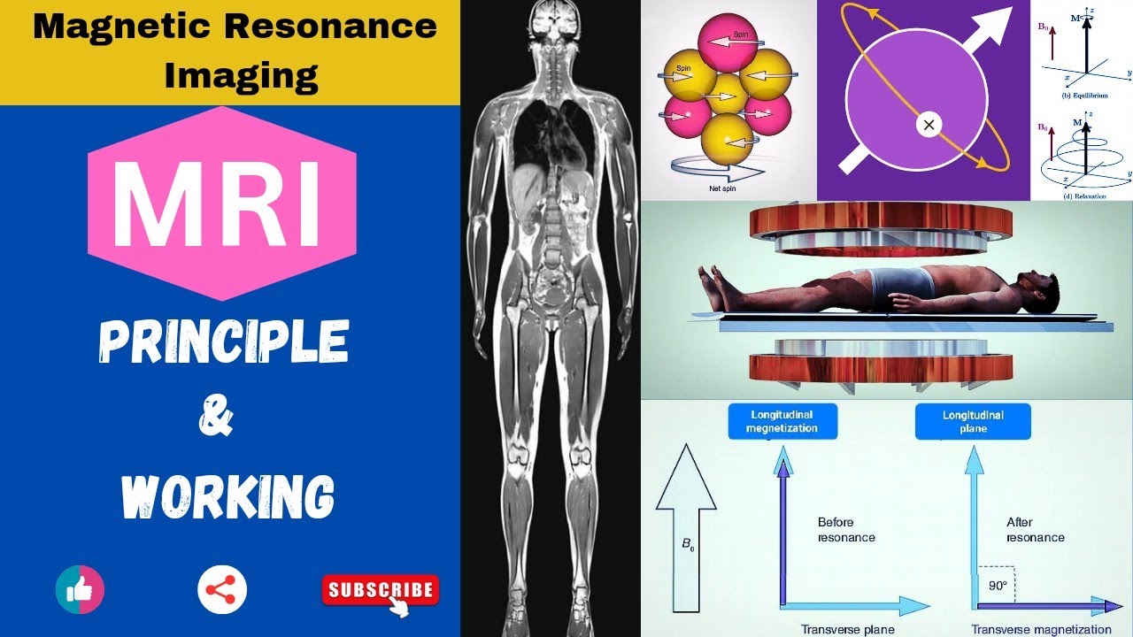 MRI principle ll Magnetic Resonance Imaging ll Part-3 ll RADIOGRAPHY ...