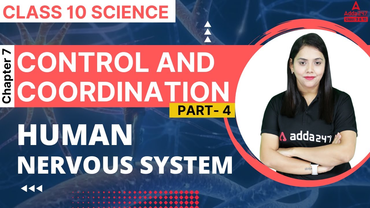 HUMAN NERVOUS SYSTEM CLASS 10TH CONTROL AND COORDINATION CHAPTER 7 ...