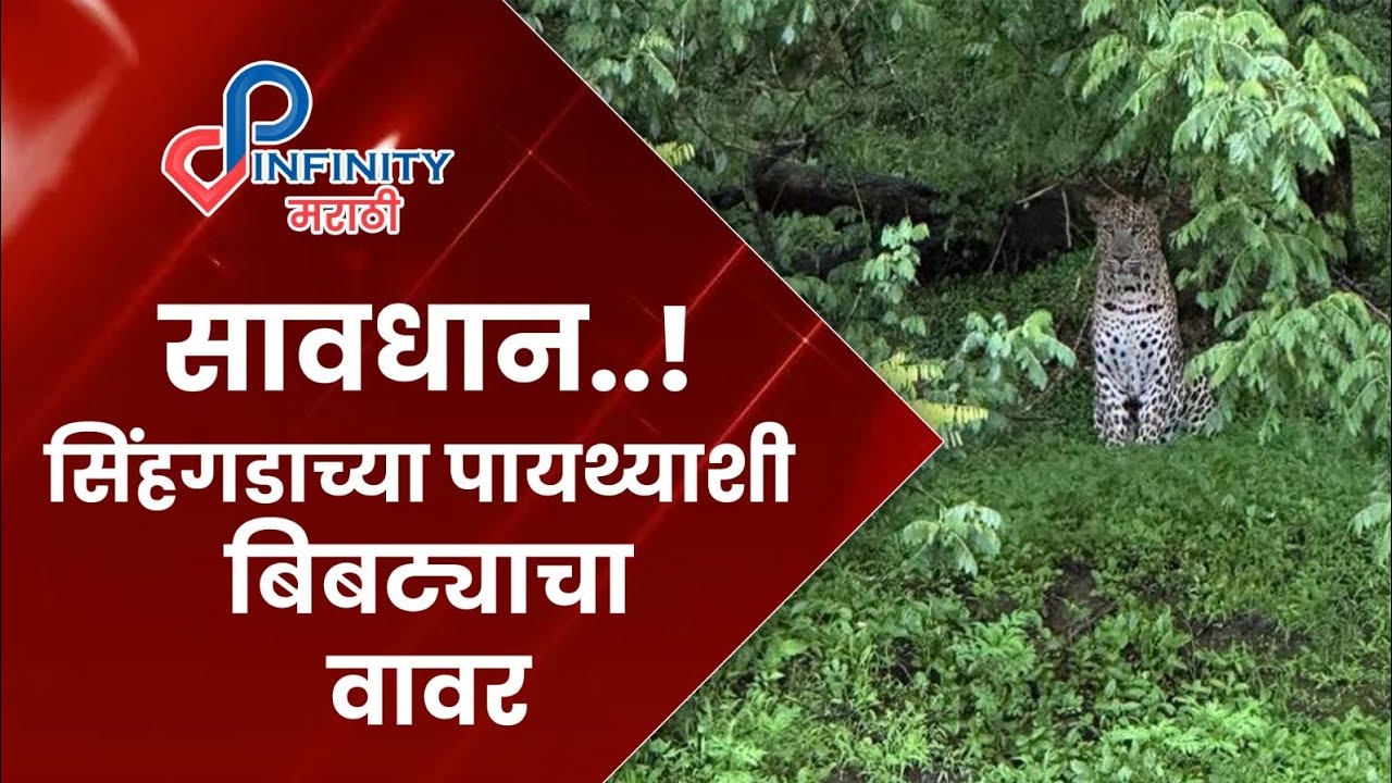 दिवसभरातील बातम्यांचा आढावा | Infinity Marathi Bulletins | Infinity Marathi daily News - YouTube