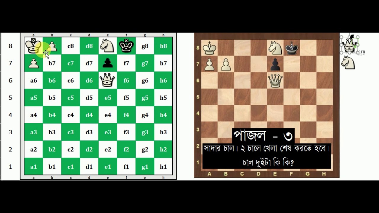 Chess Puzzle solution 3 By Shahani Rajib - YouTube