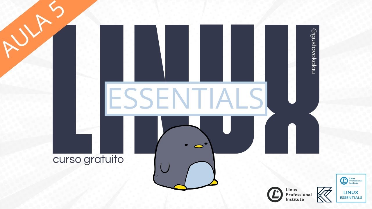 AULA 5 - Treinamento gratuito Linux Essentials - YouTube