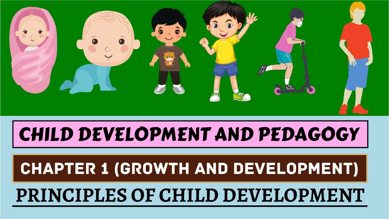 Principles of Growth and Development | Child Development and Pedagogy ...