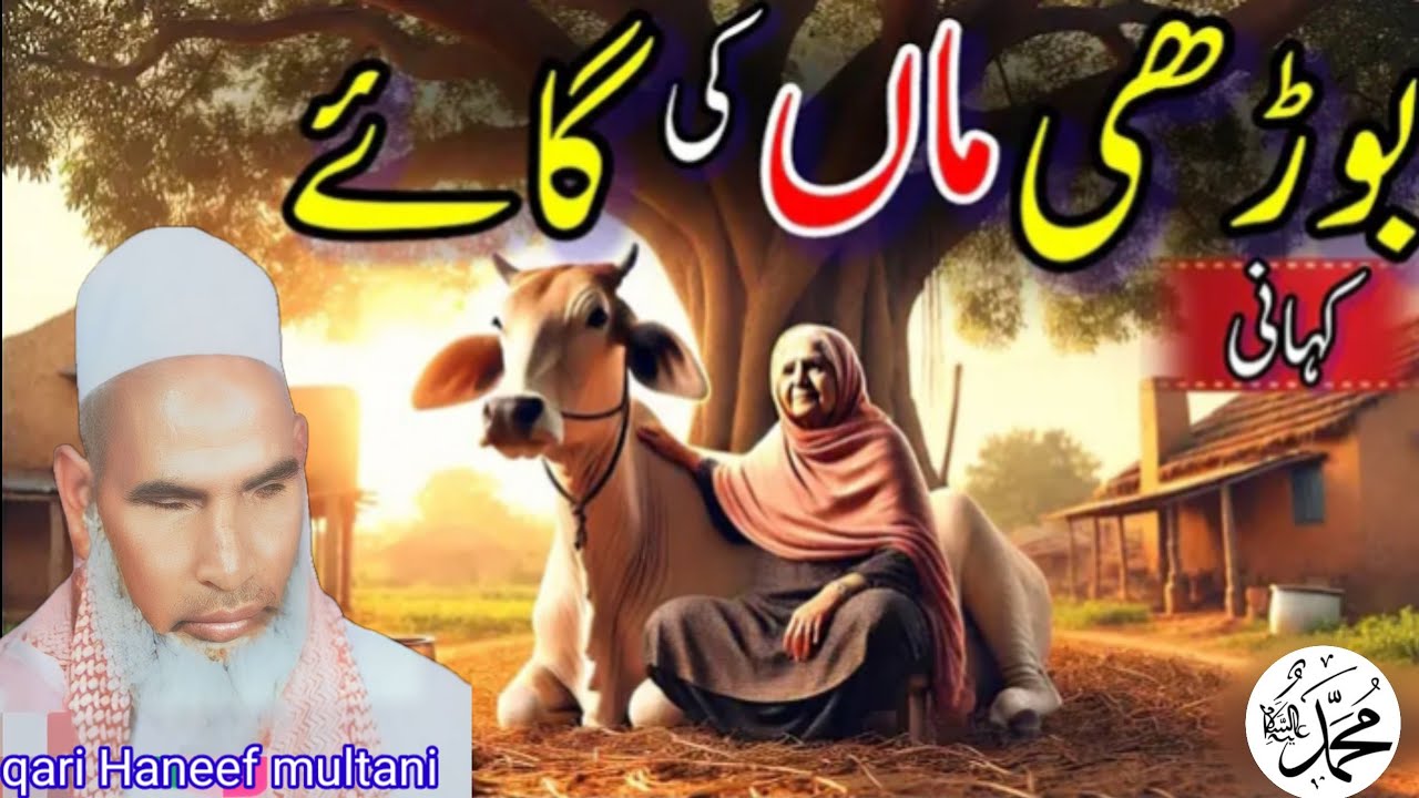 बोढ़ी माँ की गाय का जबदस्त वाक्या qari Haneef multani ki taqreer Shaan ...