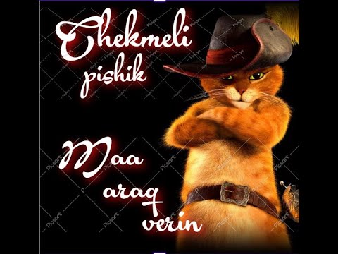 Chekmeli pishik - mene araq verin