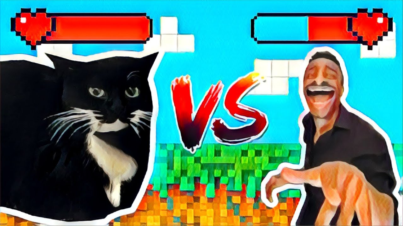 Maxwell Cat vs That One Guy Skibidi Bop - YouTube