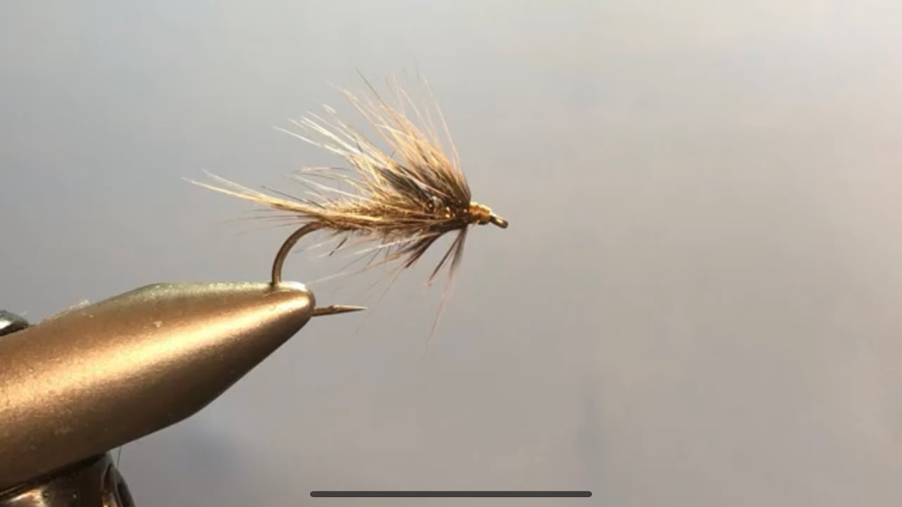 Beginner's Lesson #6: The Flymph - YouTube