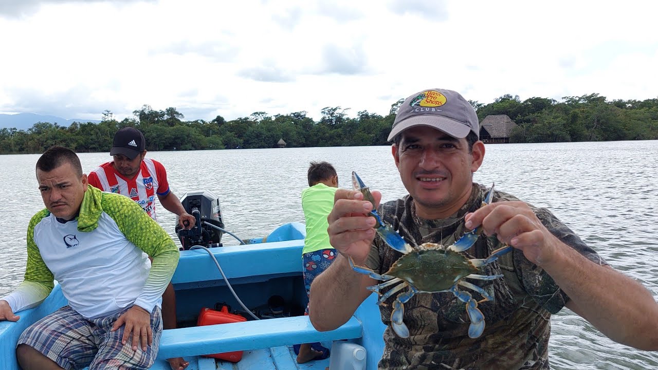 Pesca de Jaibas en Río Dulce con técnica muy sencilla/#120 - YouTube