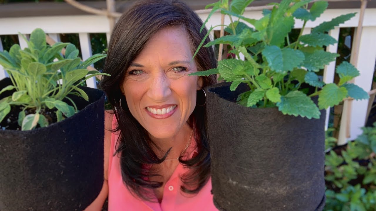 🌿LIVE: Tips for Growing Herbs in Containers (REPLAY) - YouTube