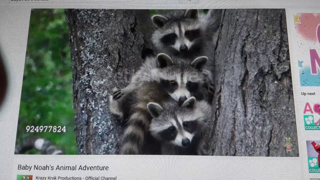 Baby Noah's Animal Adventure - In the Forest - YouTube