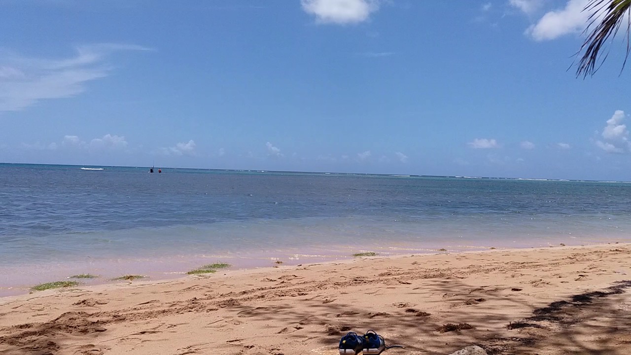 Playa las picuas. Rió grande - puerto rico. - YouTube
