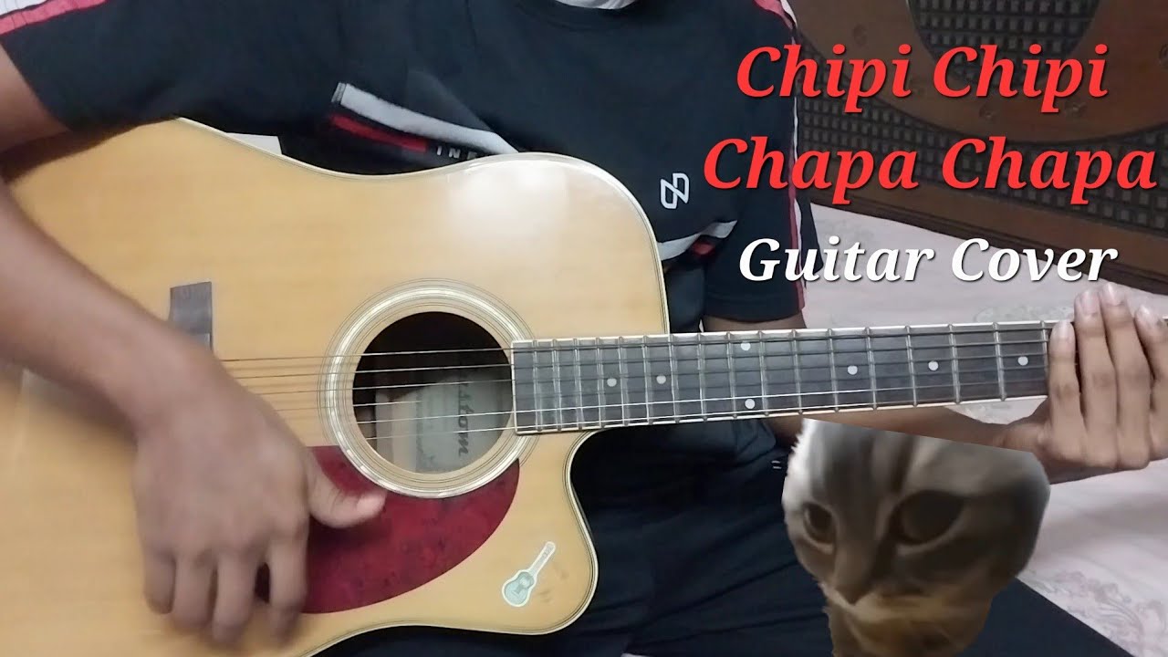 Chipi Chipi Chapa Chapa | Guitar Fingerstyle Cover | Meme Song| - YouTube